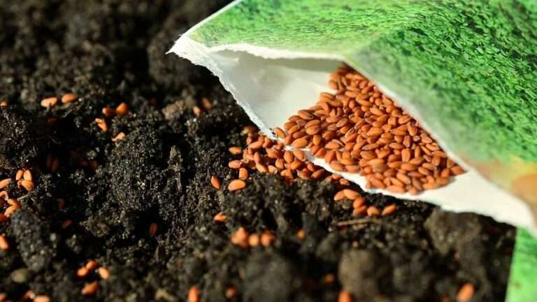 Die richtige Gartenerde für Gartenpflanzen - Natur & Gartenfreunde